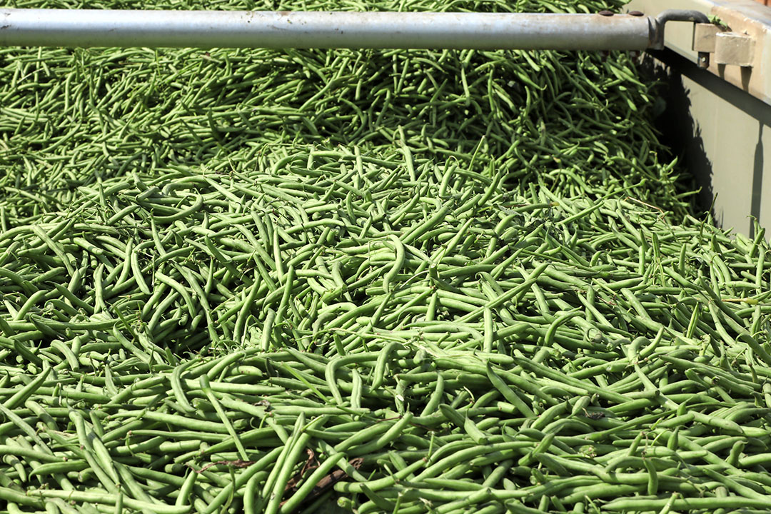 Coroos boekt negatief resultaat door kartelboetes - Eiwit Trends