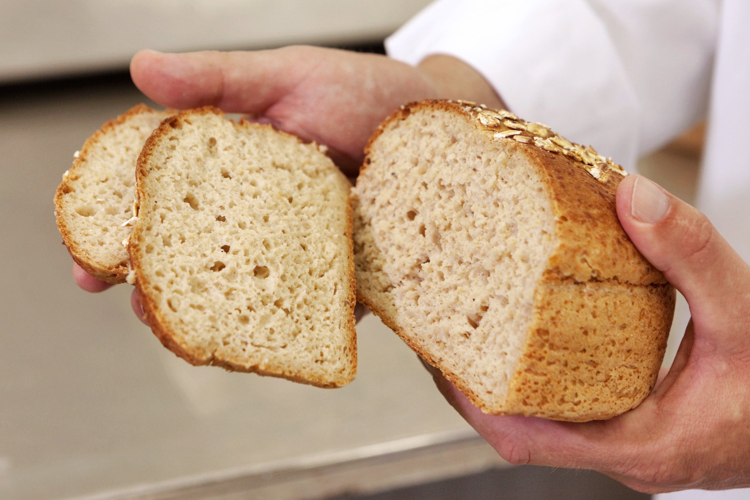 Koopmans gaat voor meel uit Nederlandse tarwe - Eiwit Trends