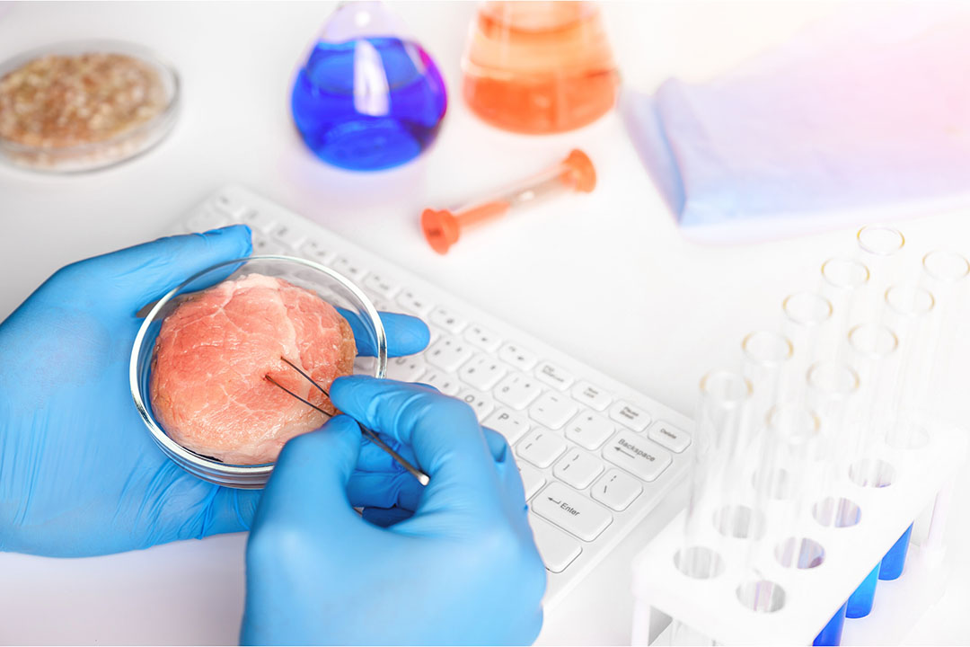 € 60 miljoen uit Nationaal Groeifonds voor kweekvlees - Eiwit Trends