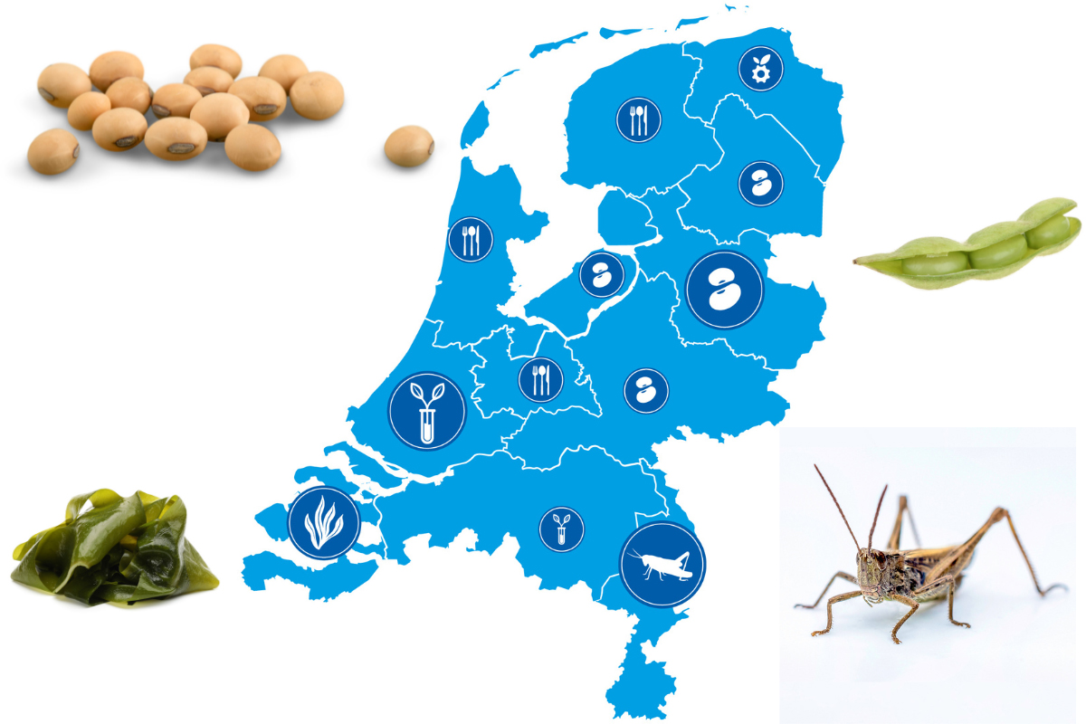Zo zijn de provincies bezig met eiwittransitie - Eiwit Trends