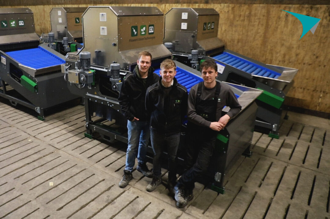 Aardappelen sorteren met artificial intelligence - Eiwit Trends