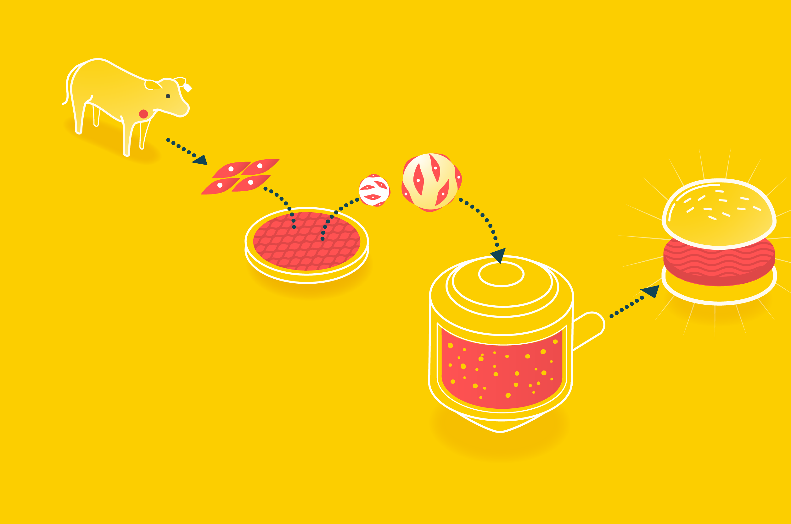 Productie kweekvlees - Eiwit Trends