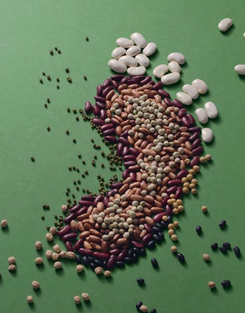 Duurzaamheid eiwittransitie - Eiwit Trends