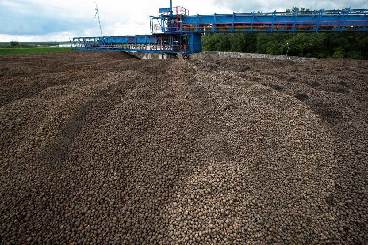 Avebe blijft geloven in eiwittransitie - Eiwit Trends