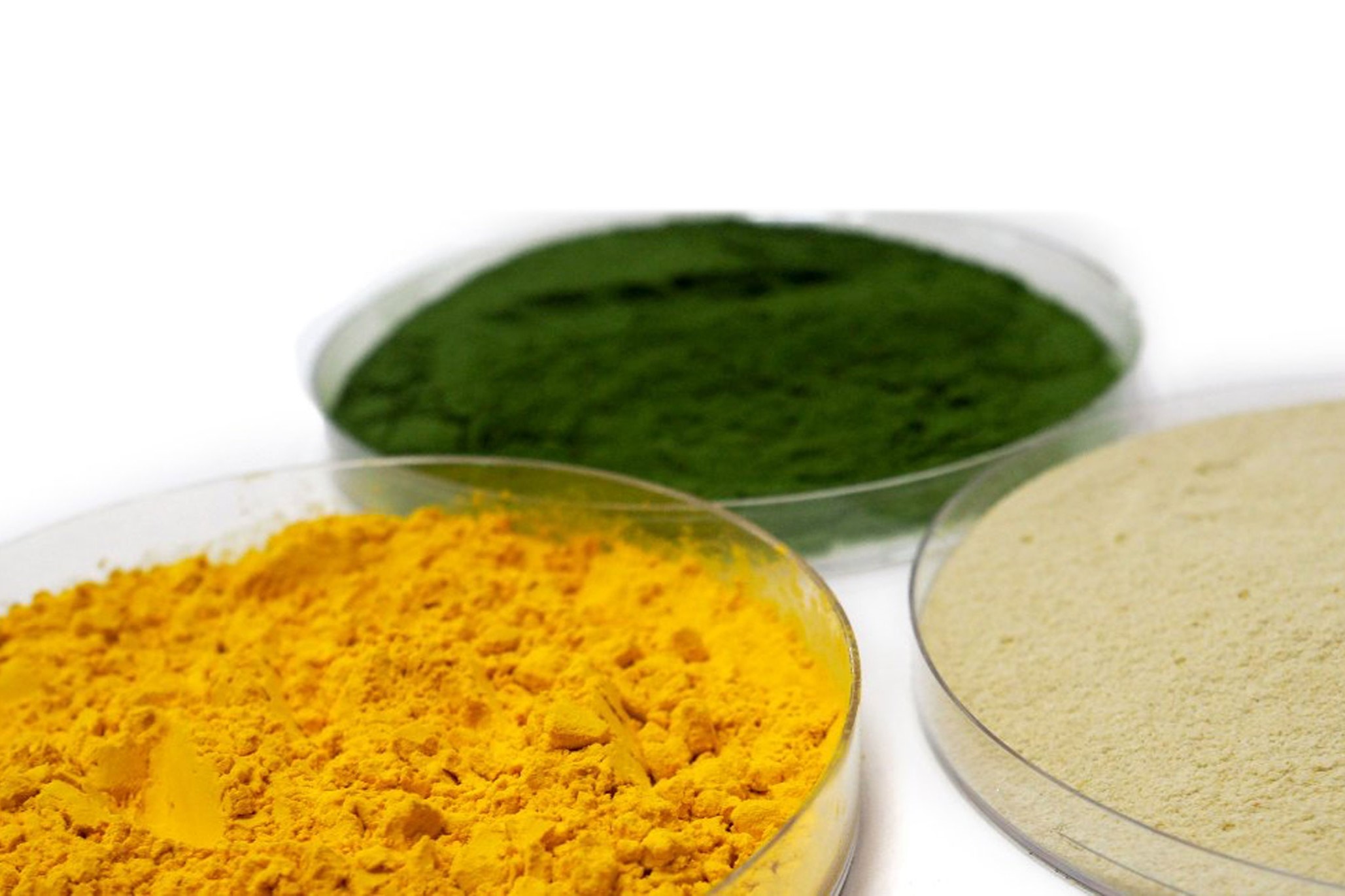 Van groen naar geel: Phycom breidt uit met nieuwe algenstammen - Eiwit ...